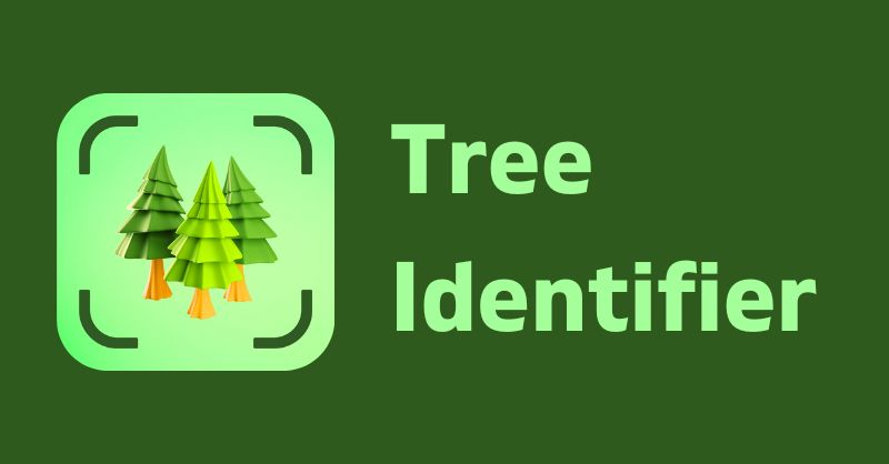 Tree Identifier AI - Online Tree Identification
